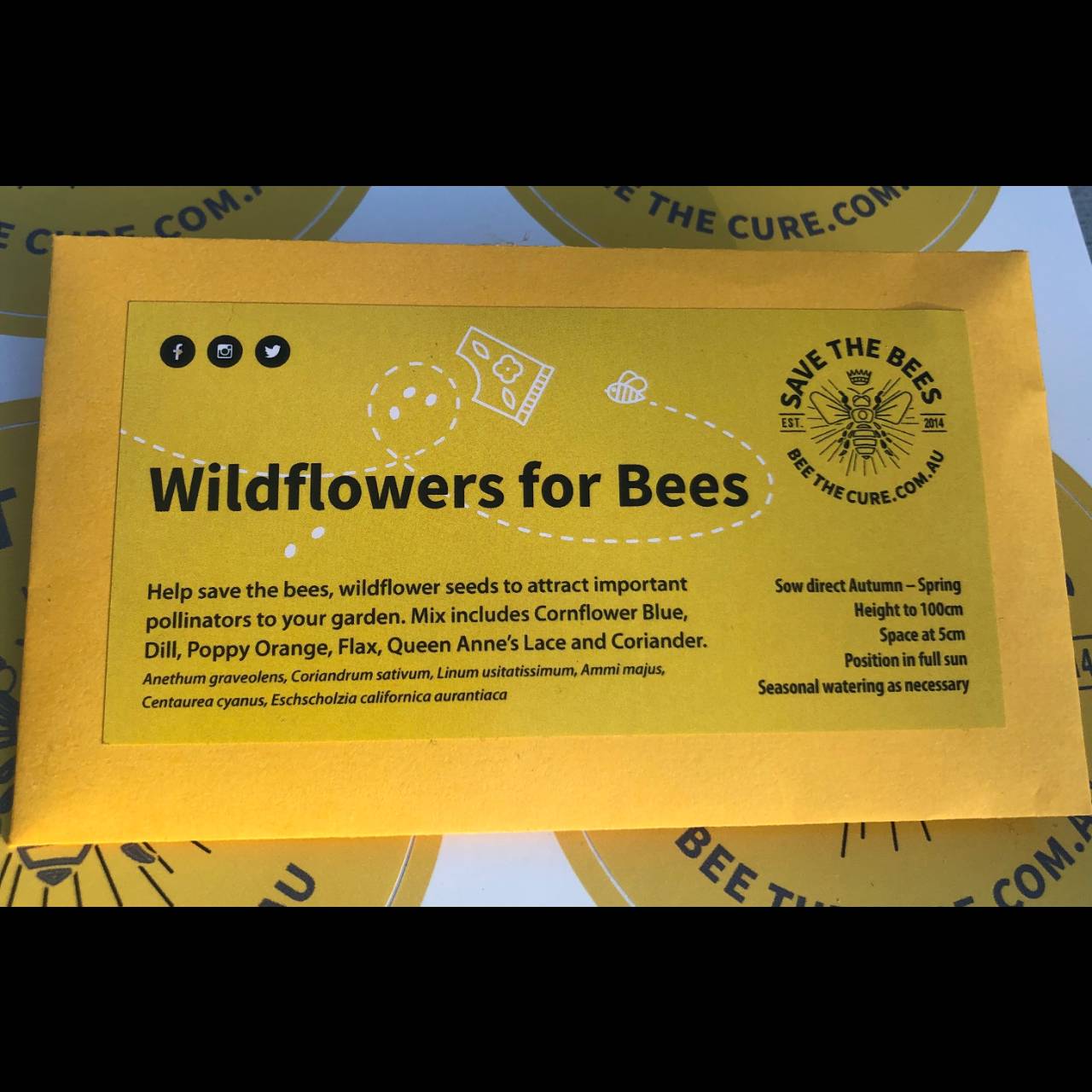 Wildflowers for Bees Seeds – Bee the Cure
